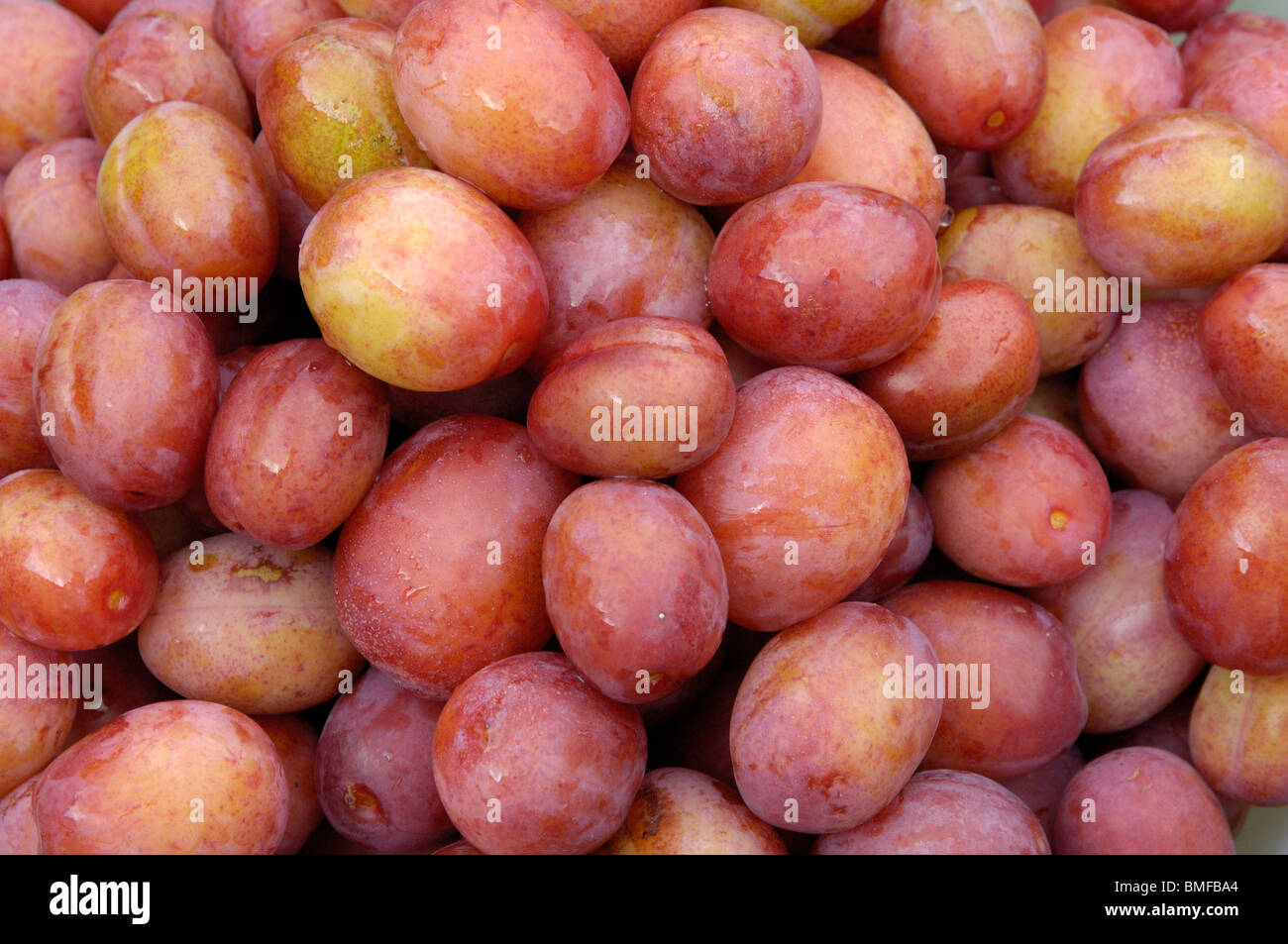 Victoria variety hi-res stock photography and images - Alamy