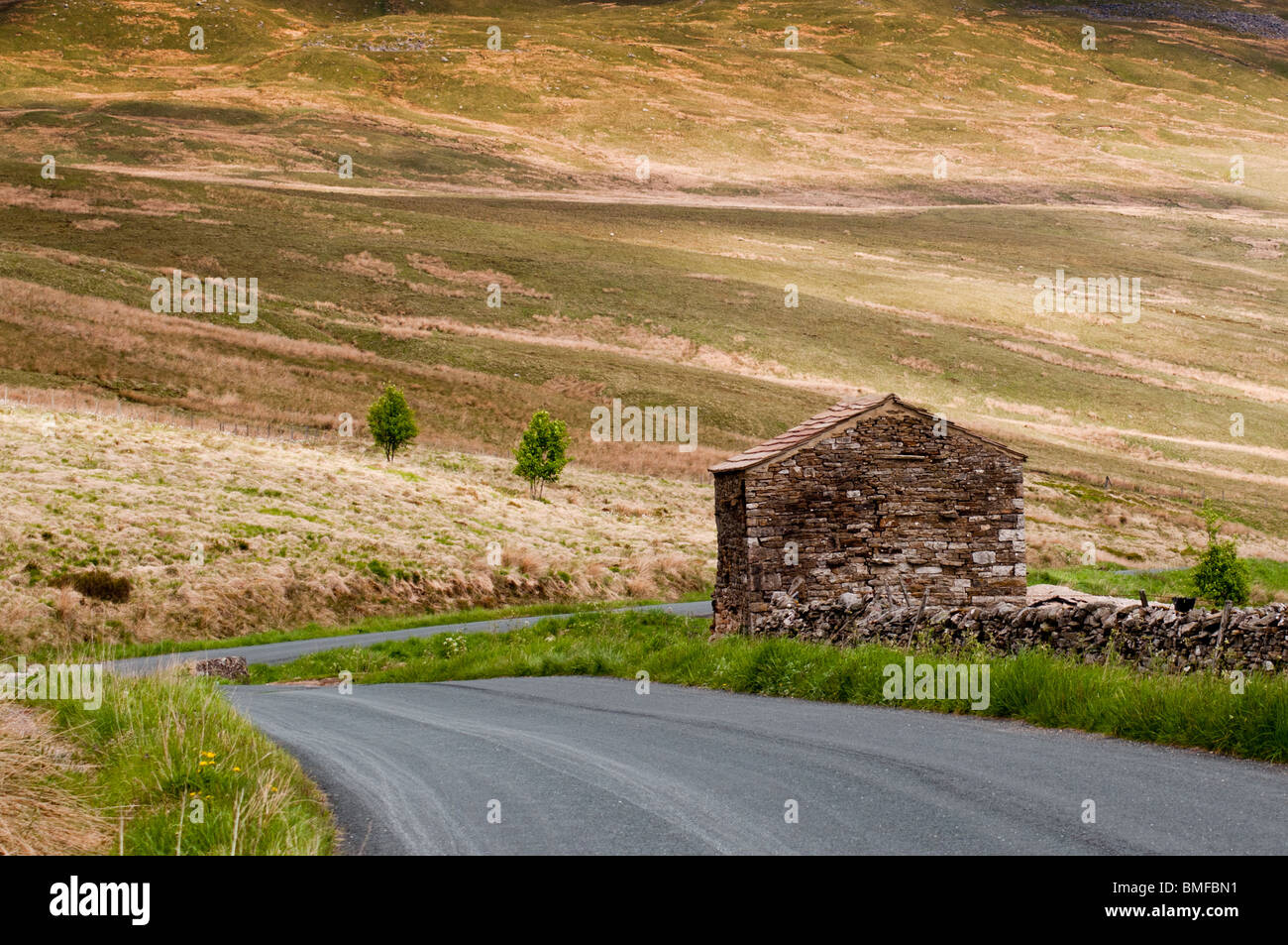 Mallerstang Valley in the Cumbrian Fells along the B6259 Stock Photo ...