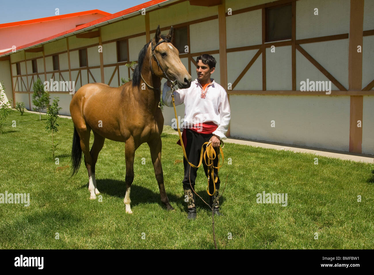 Akhal Teke Horse Of Turkmenistan High Resolution Stock Photography and ...