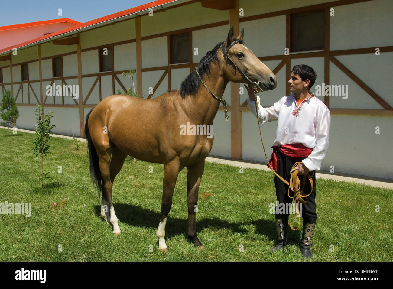 Ashgabat turkmenistan horses hi-res stock photography and images - Alamy