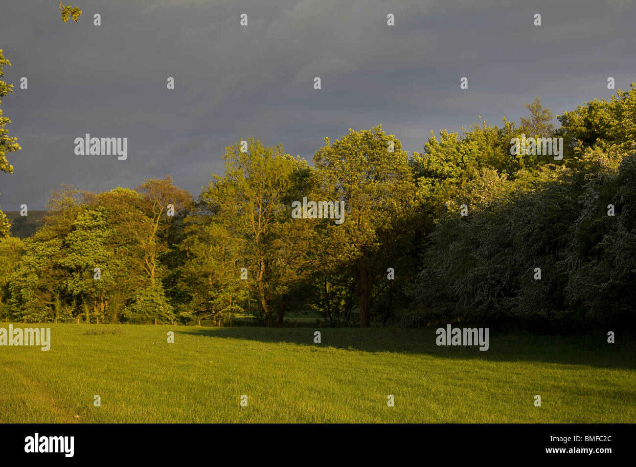 Evening view of countryside around summerbridge hi-res stock ...