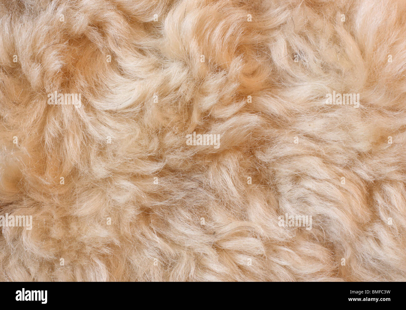 Furry texture hi-res stock photography and images - Alamy