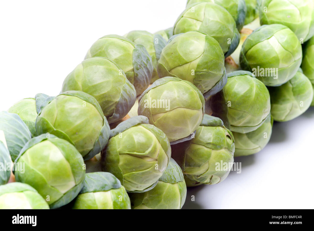 Brussel Sprouts on white background Stock Photo - Alamy