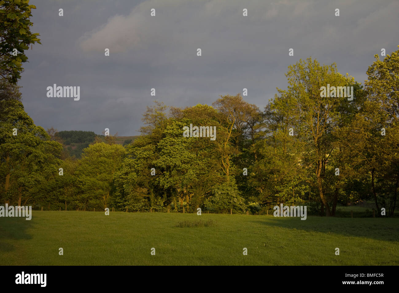 Evening view of countryside around summerbridge hi-res stock ...