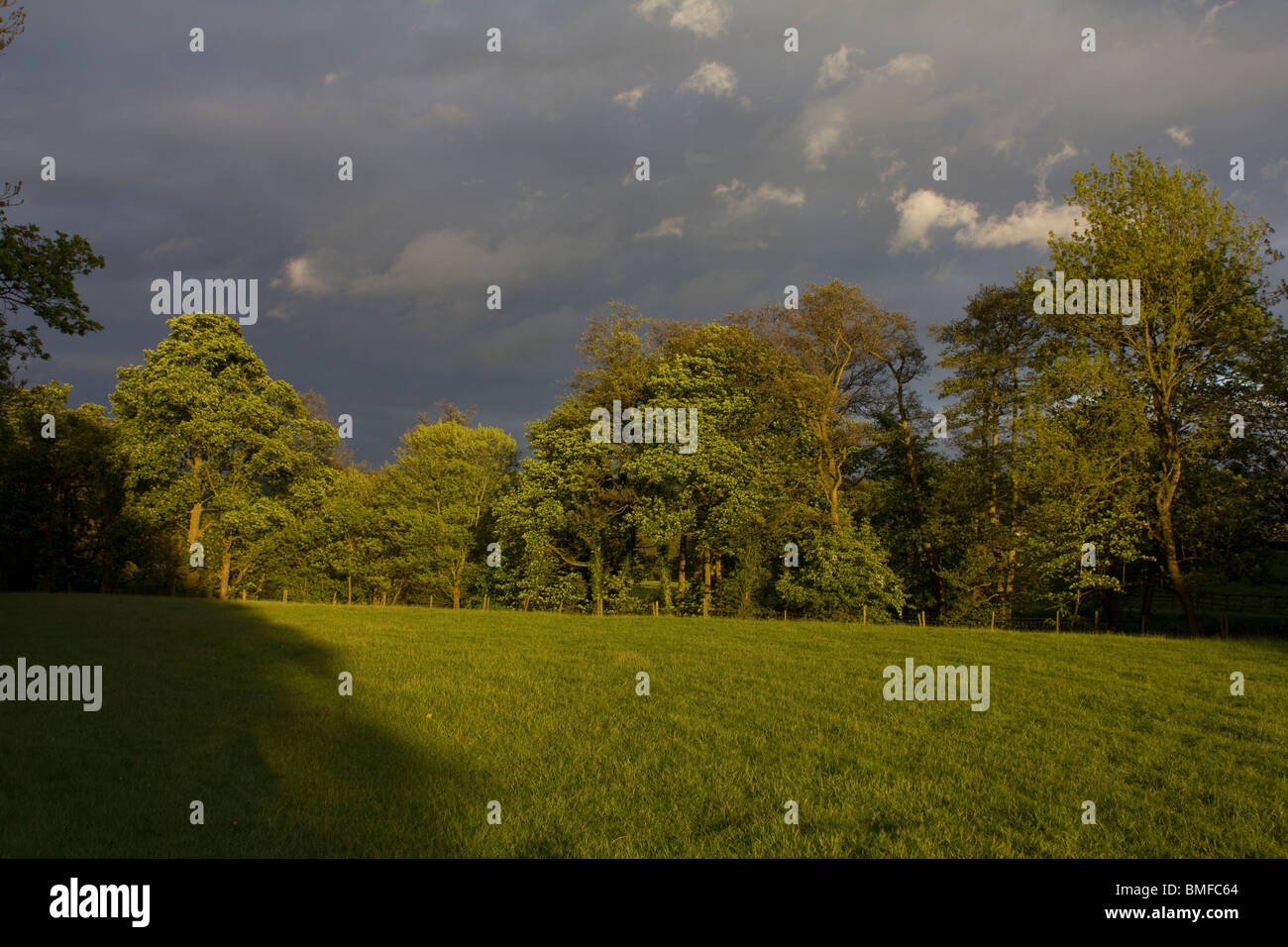 Evening view of countryside around summerbridge hi-res stock ...