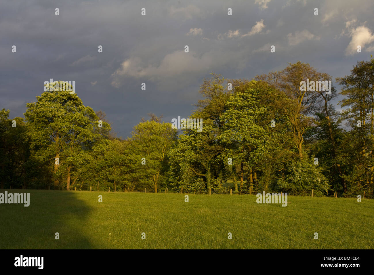 Evening view of countryside around summerbridge hi-res stock ...