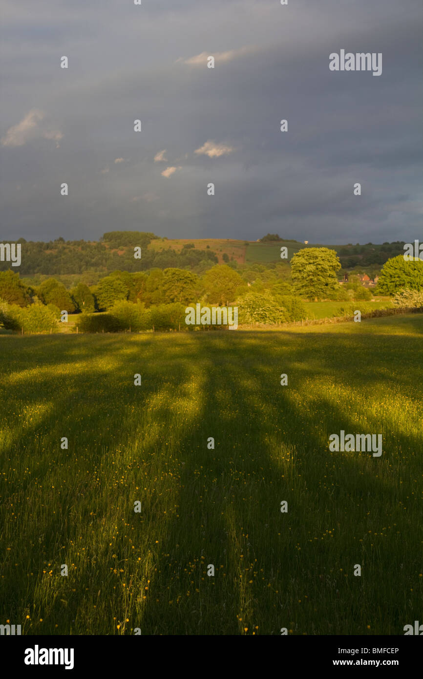 Evening view of countryside around summerbridge hi-res stock ...