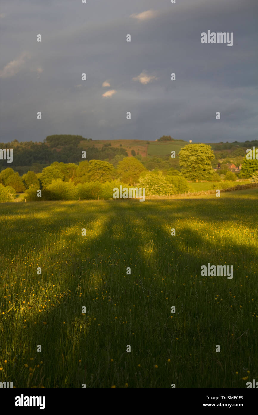Evening view of countryside around summerbridge hi-res stock ...