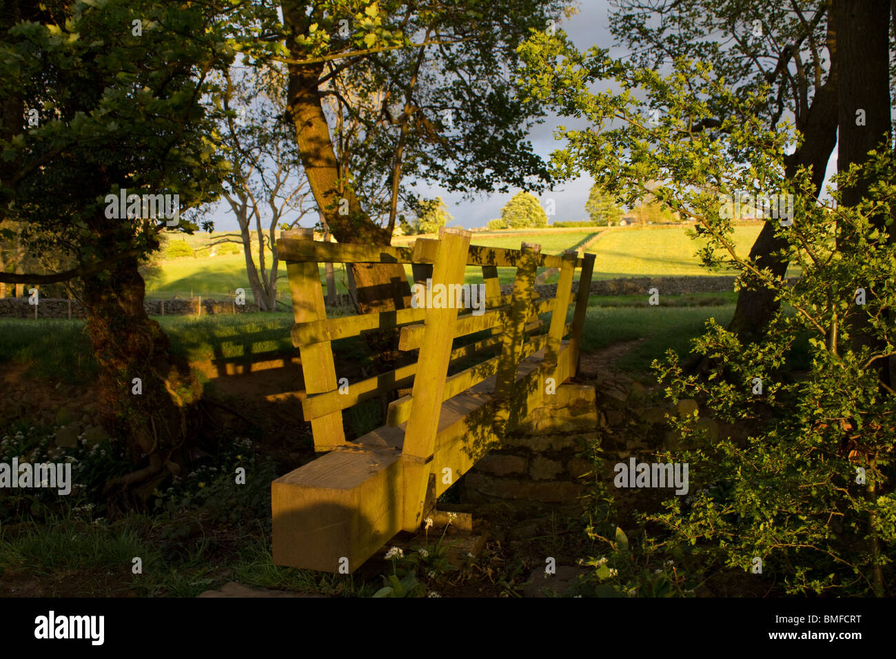 Bridge Over Stream, Evening, Summerbridge, Yorkshire, England Stock ...