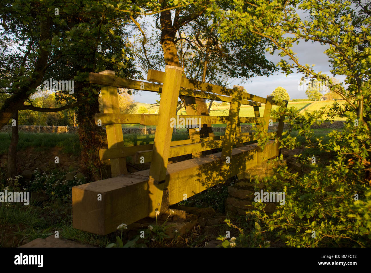 Bridge Over Stream, Evening, Summerbridge, Yorkshire, England Stock ...