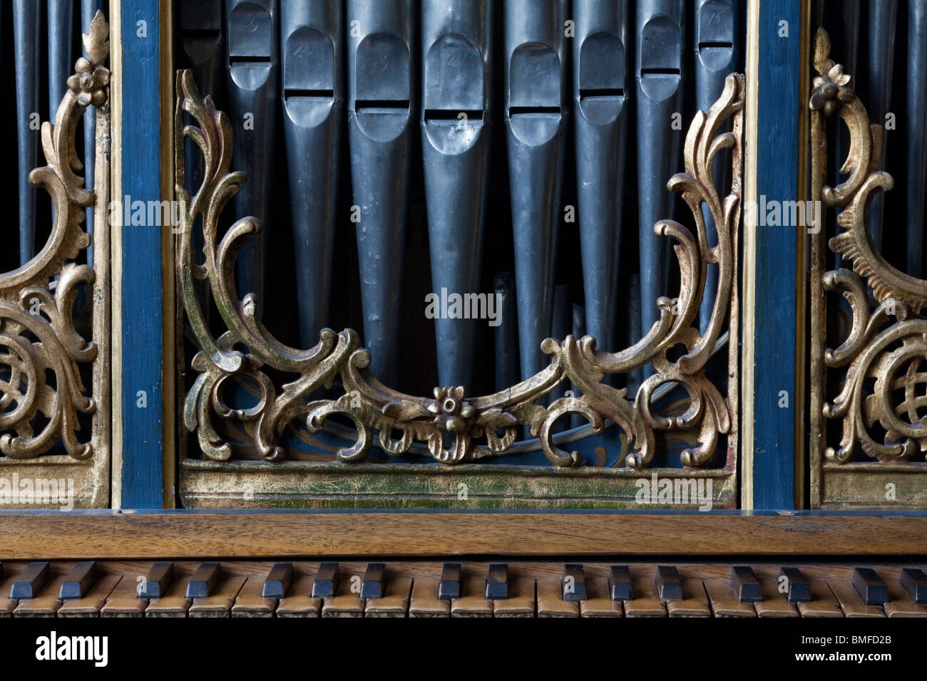 Positive organ hi-res stock photography and images - Alamy