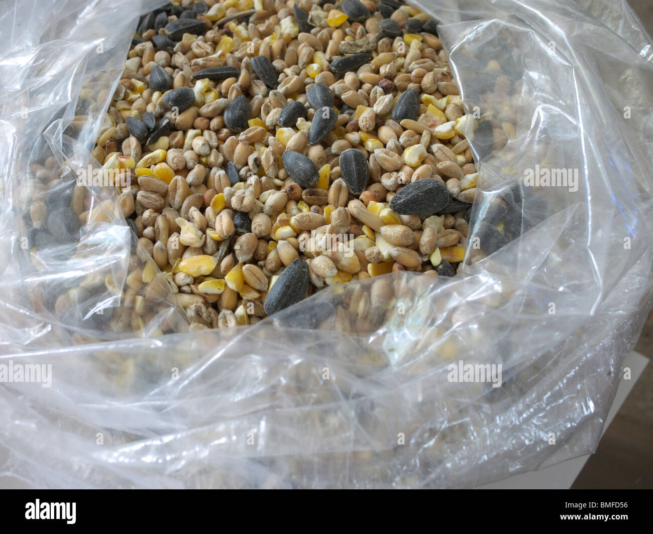 Mixed bird seed hi-res stock photography and images - Alamy