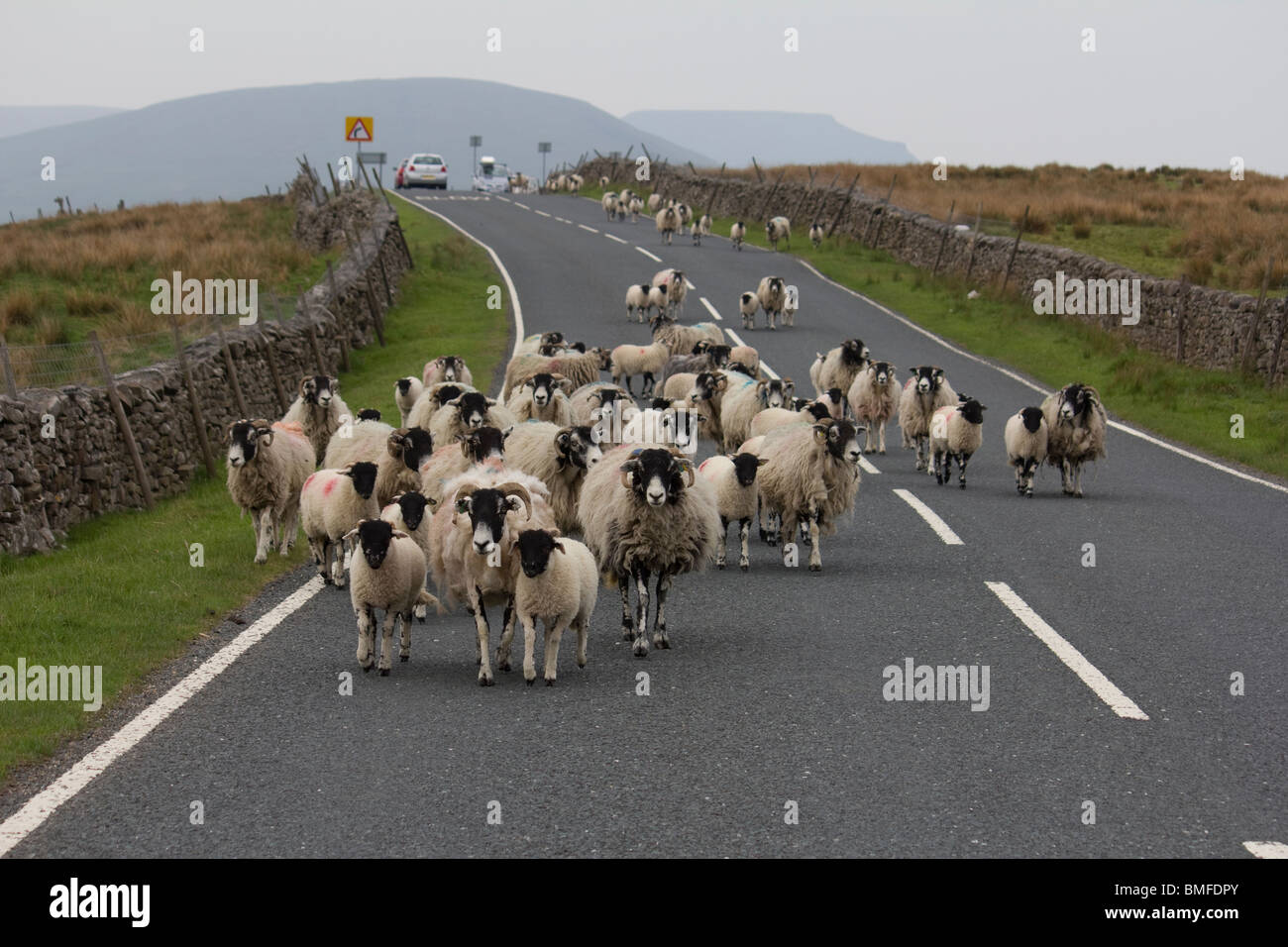 Ribblehead north yorkshire hi-res stock photography and images - Alamy