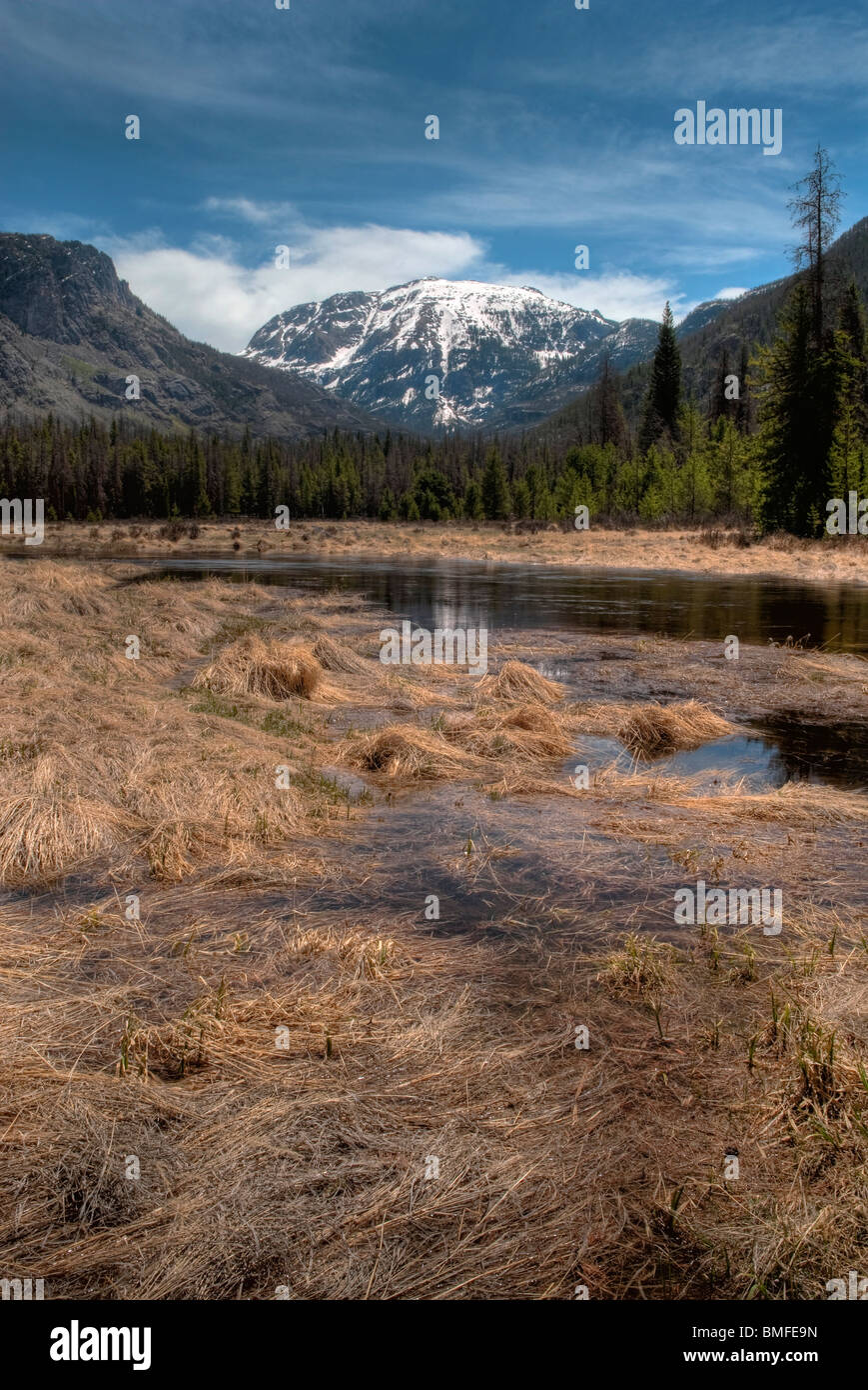 Mt. Craig. view from East Inlet Trail Stock Photo - Alamy