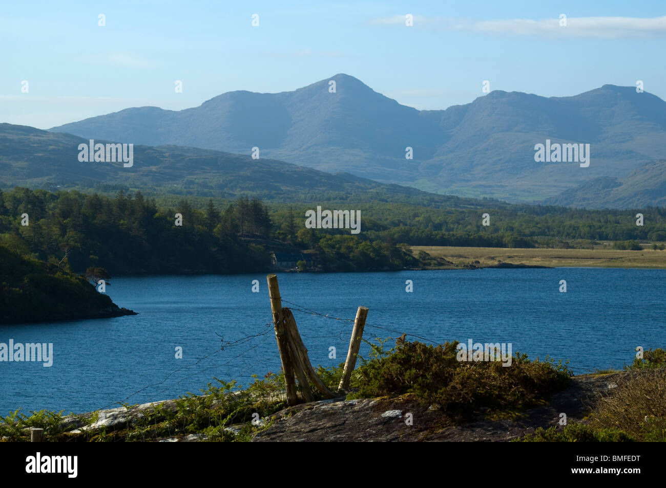 Lake caragh forest hi-res stock photography and images - Alamy