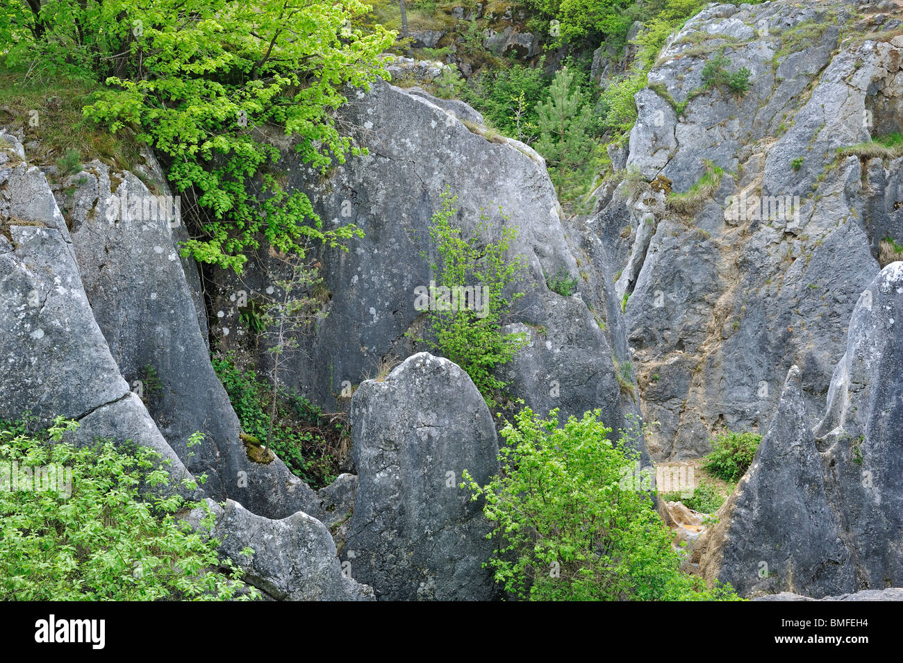 Swallow hole limestone hi-res stock photography and images - Alamy