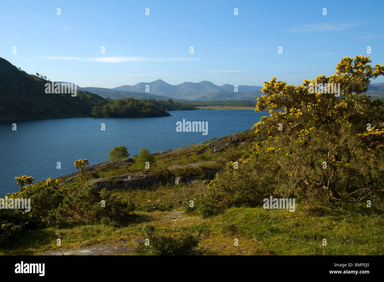 Caragh lake ireland hi-res stock photography and images - Alamy