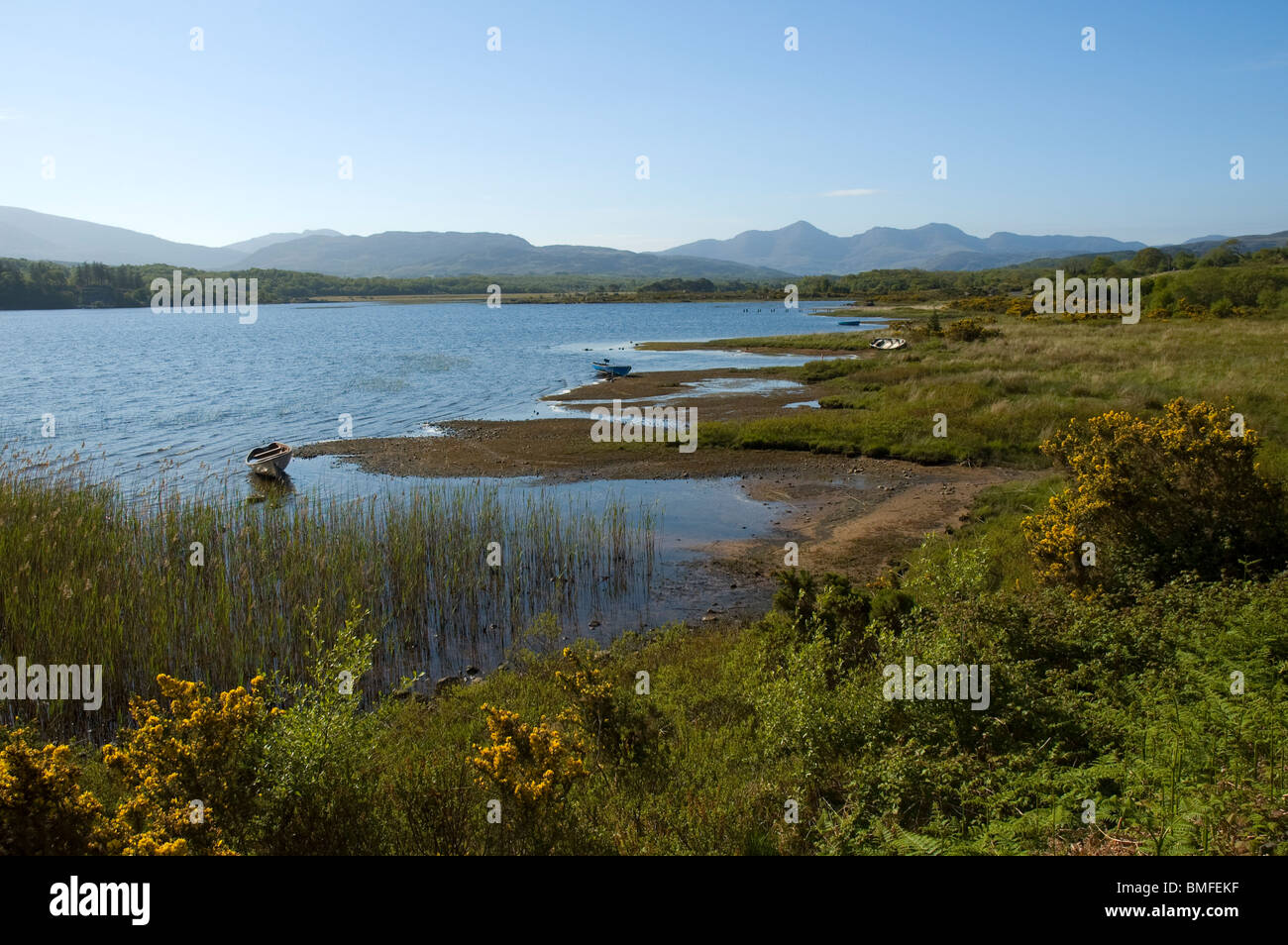 Caragh lake ireland hi-res stock photography and images - Alamy