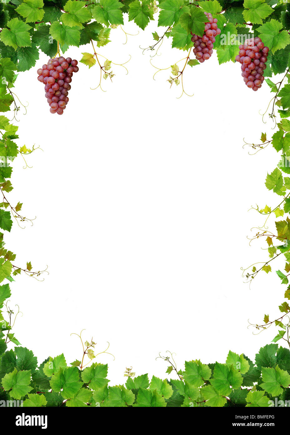 Grapevine Clipart Borders