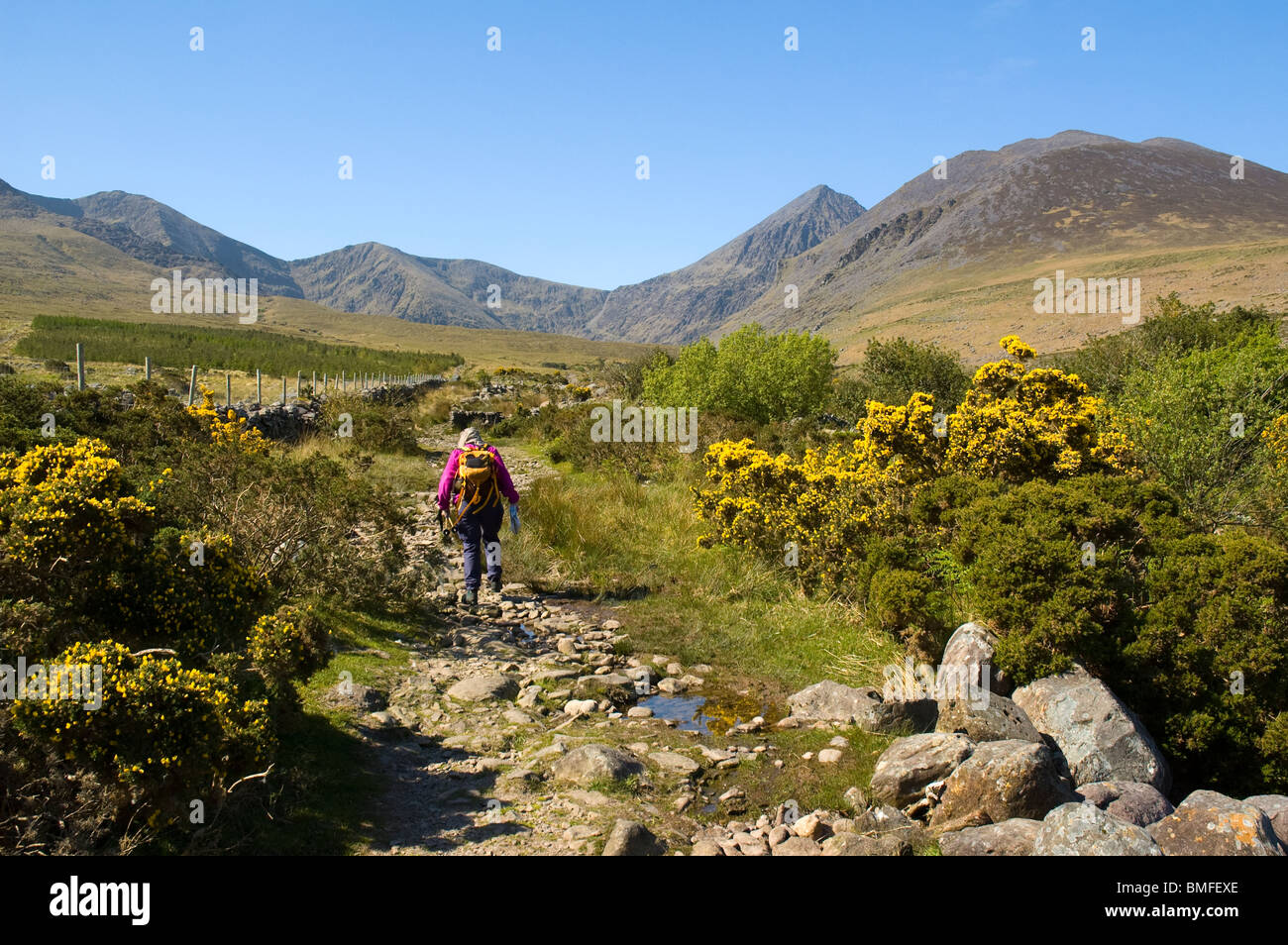 Highest peak in ireland hi-res stock photography and images - Alamy