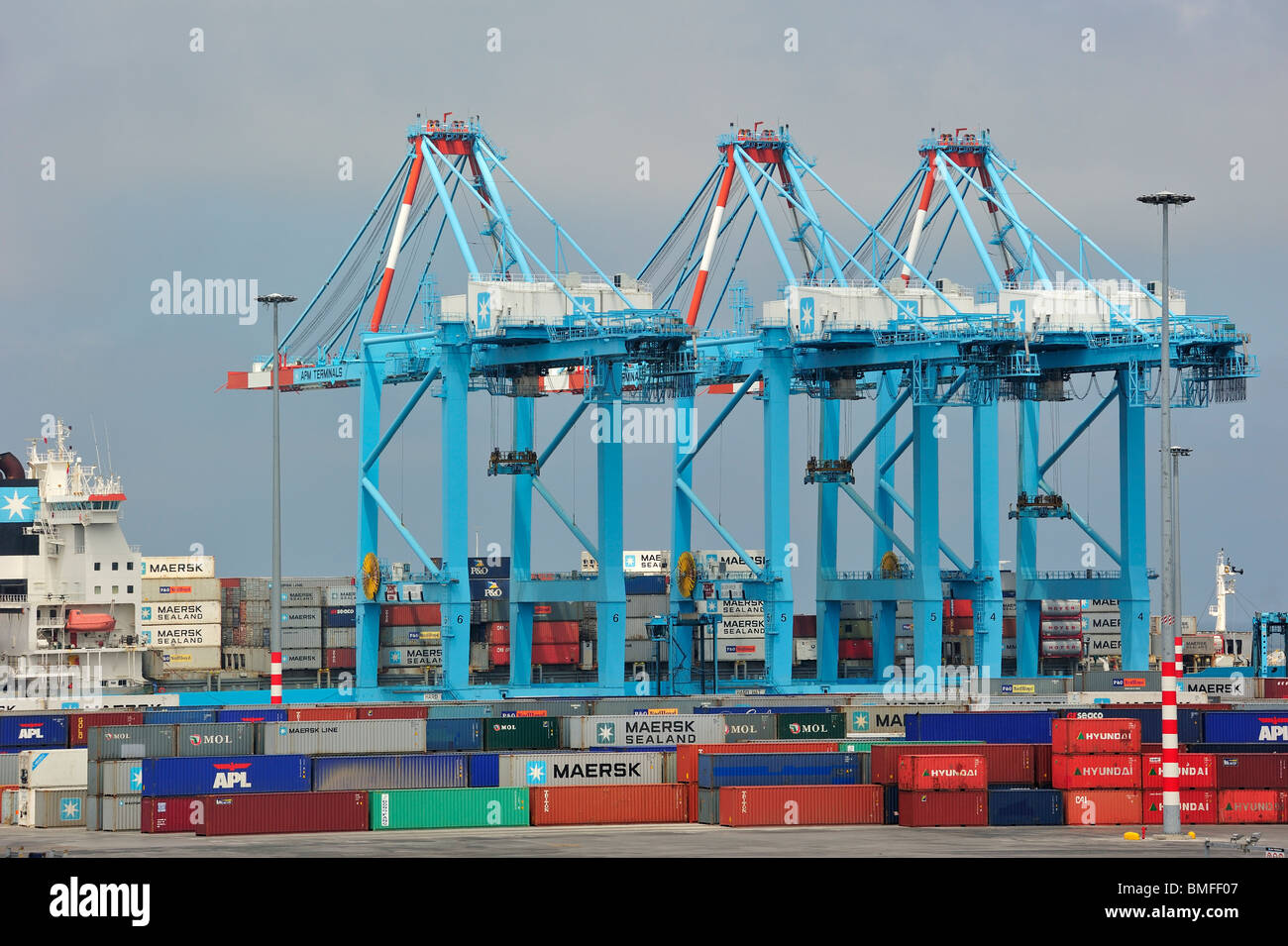 Container terminal cranes at the Port of Zeebrugge, Belgium Stock Photo ...