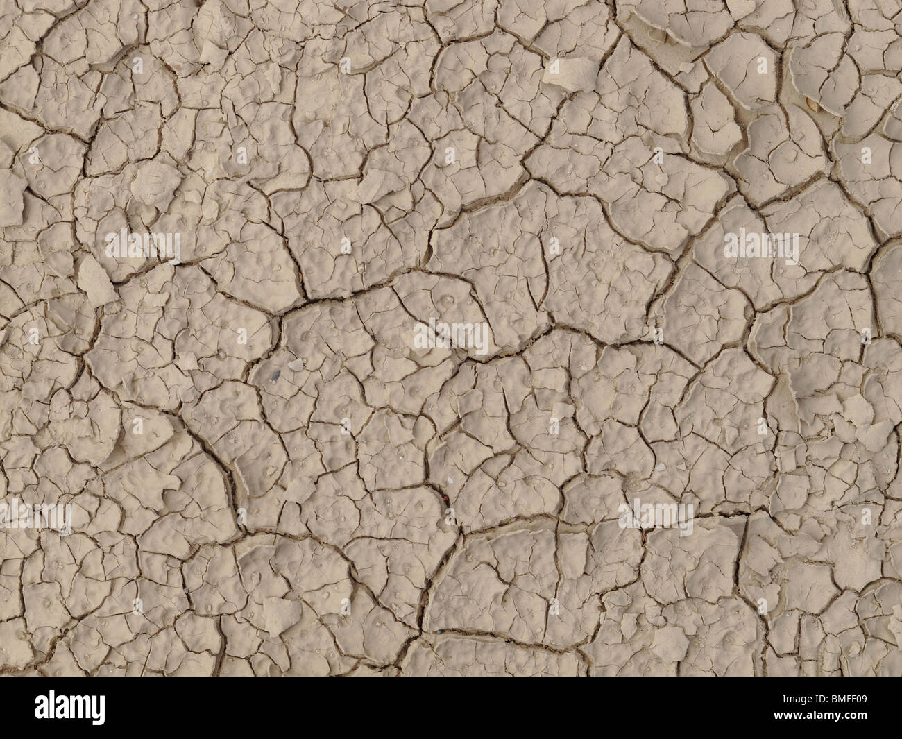 parched earth, the effect of global warming or climate change Stock ...
