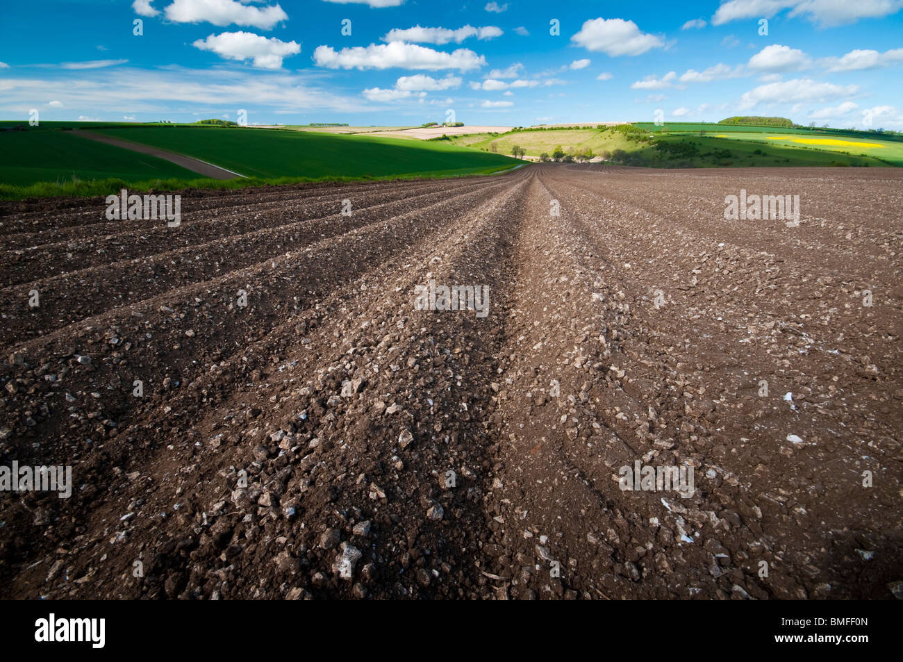 Ready for plough hi-res stock photography and images - Alamy