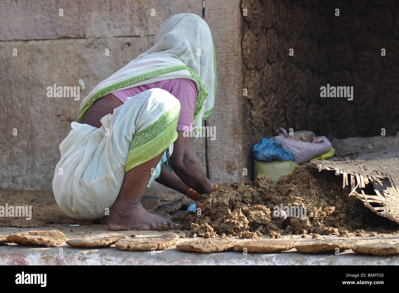 Woman making cow dung patty bricks at the ghats in Varanasi, India ...