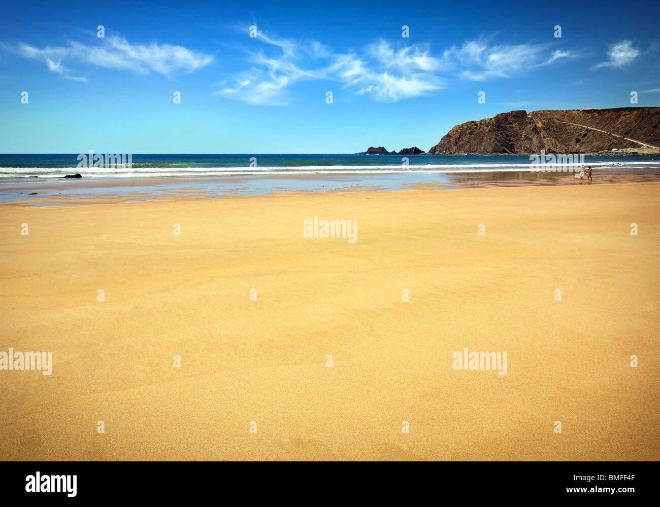 beach landscape in low tide with large copy space area in the sand ...