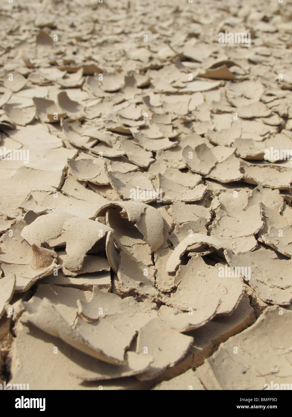 parched earth, the effect of global warming or climate change Stock ...