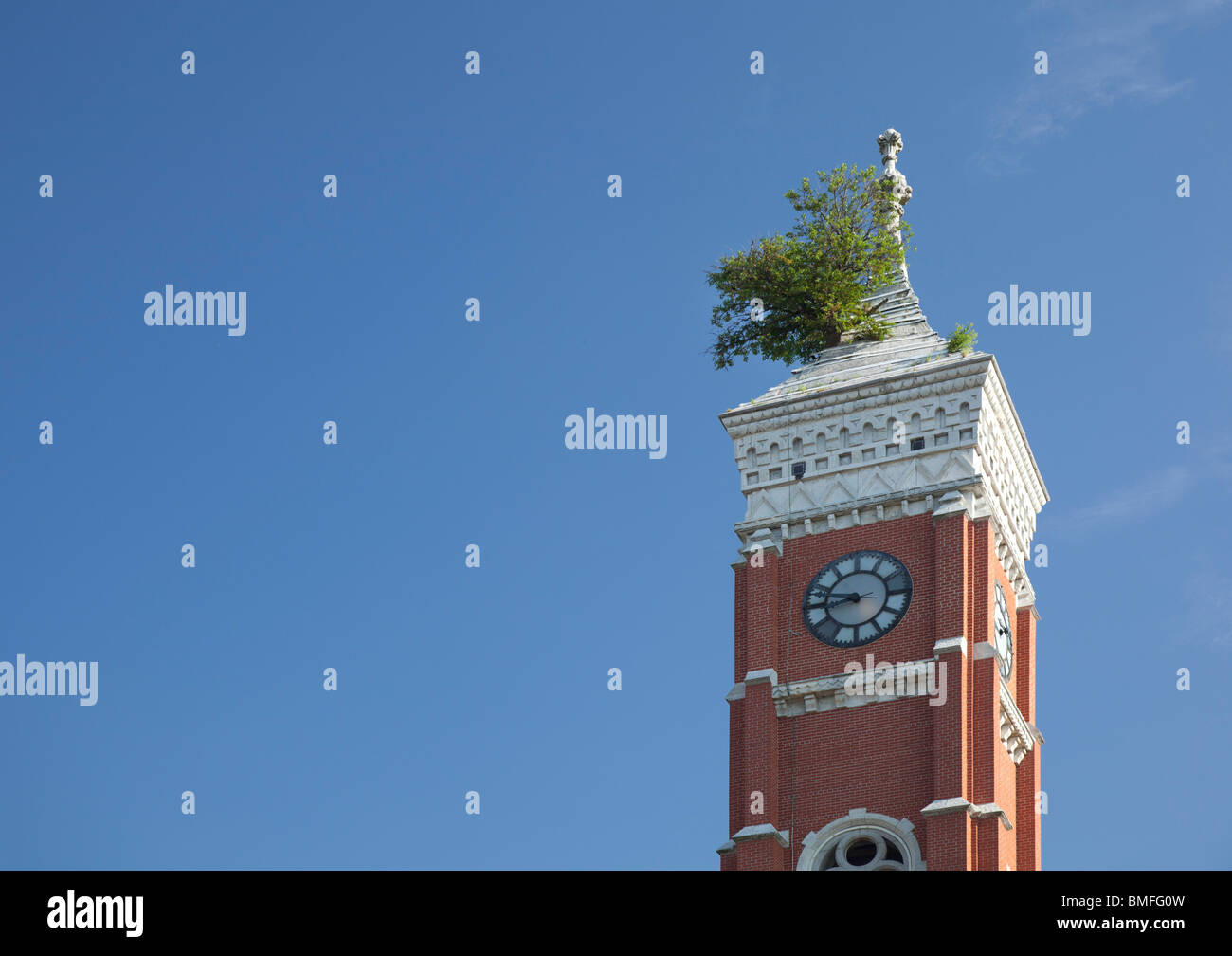 Grow tower hi-res stock photography and images - Alamy
