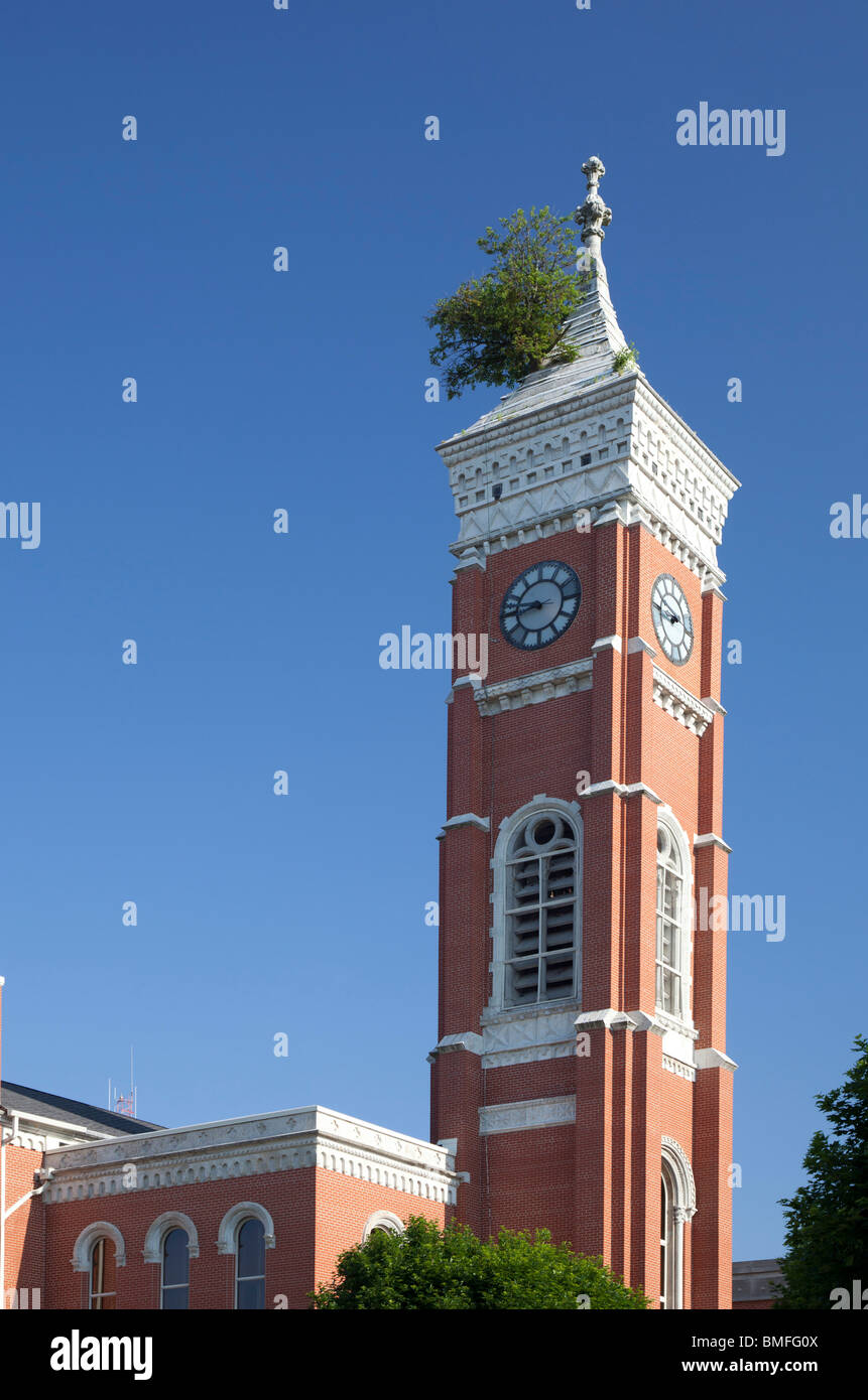 Greensburg, Indiana - A Mulberry tree grows from the roof of a clock ...