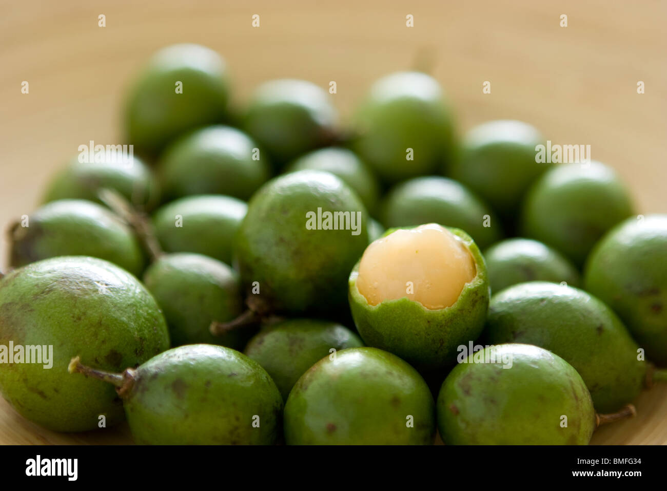 Gienps hi-res stock photography and images - Alamy