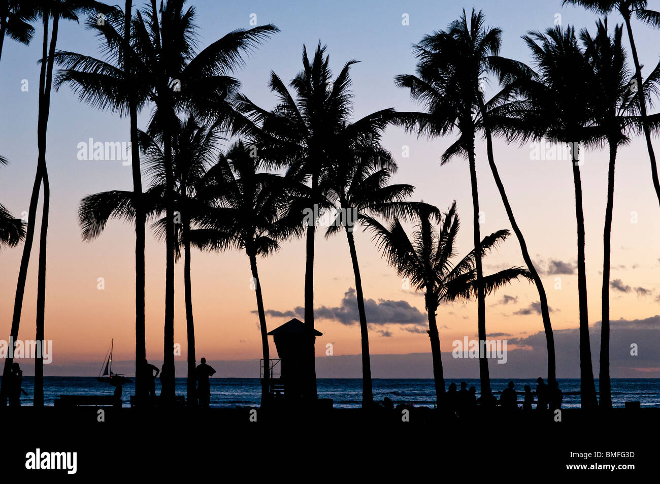 Setting sun and palm trees hi-res stock photography and images - Alamy