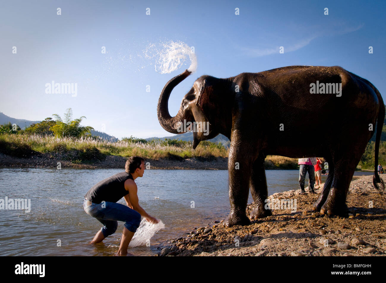 THAILAND, NORTH OF CHIANG MAI: Lek's elephant farm for rescued ...