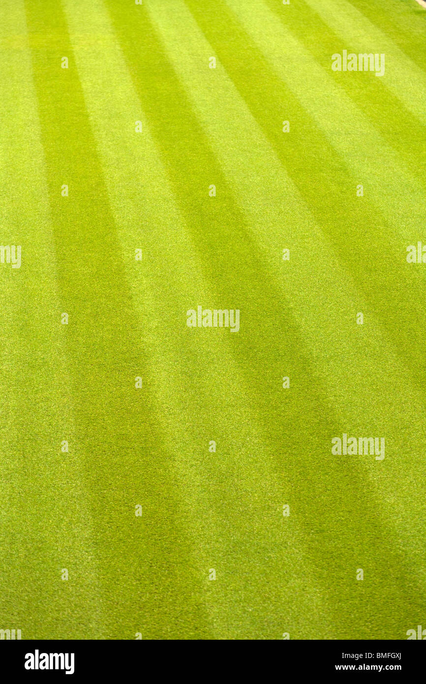 Mown grass lawn turf hi-res stock photography and images - Alamy