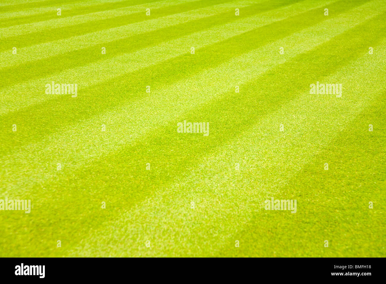 Lawn stripes hi-res stock photography and images - Alamy