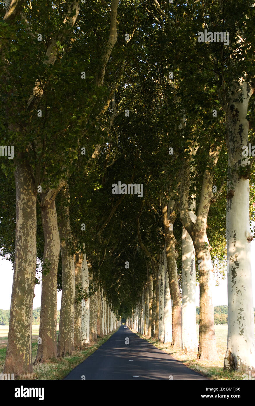 Vaux High Resolution Stock Photography and Images - Alamy