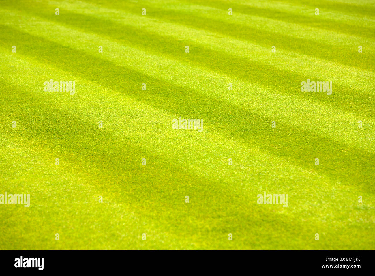 Lawn Stripes and Striped grass on a well defined lawn Stock Photo - Alamy