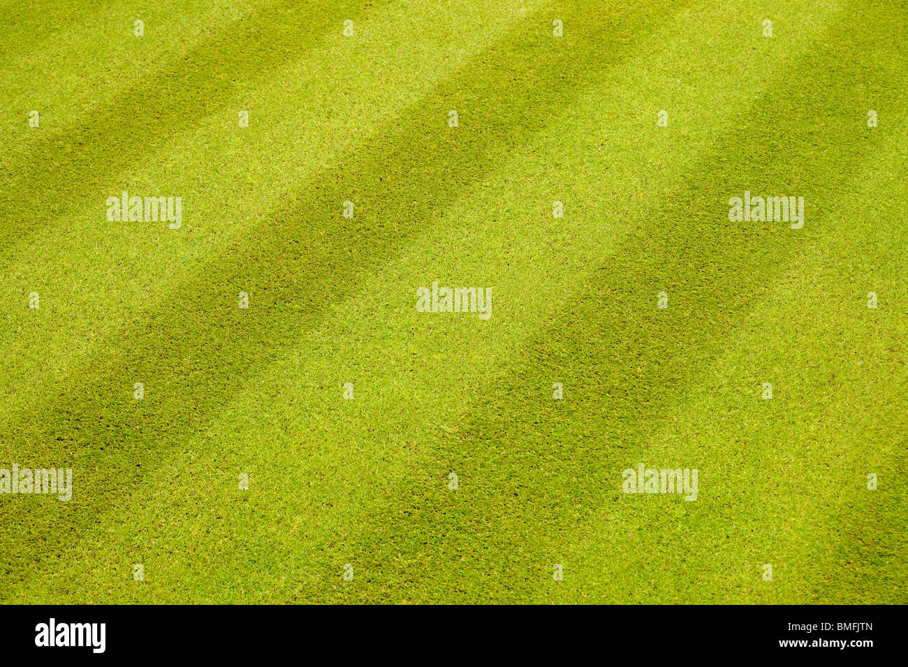 Mown grass lawn turf hi-res stock photography and images - Alamy