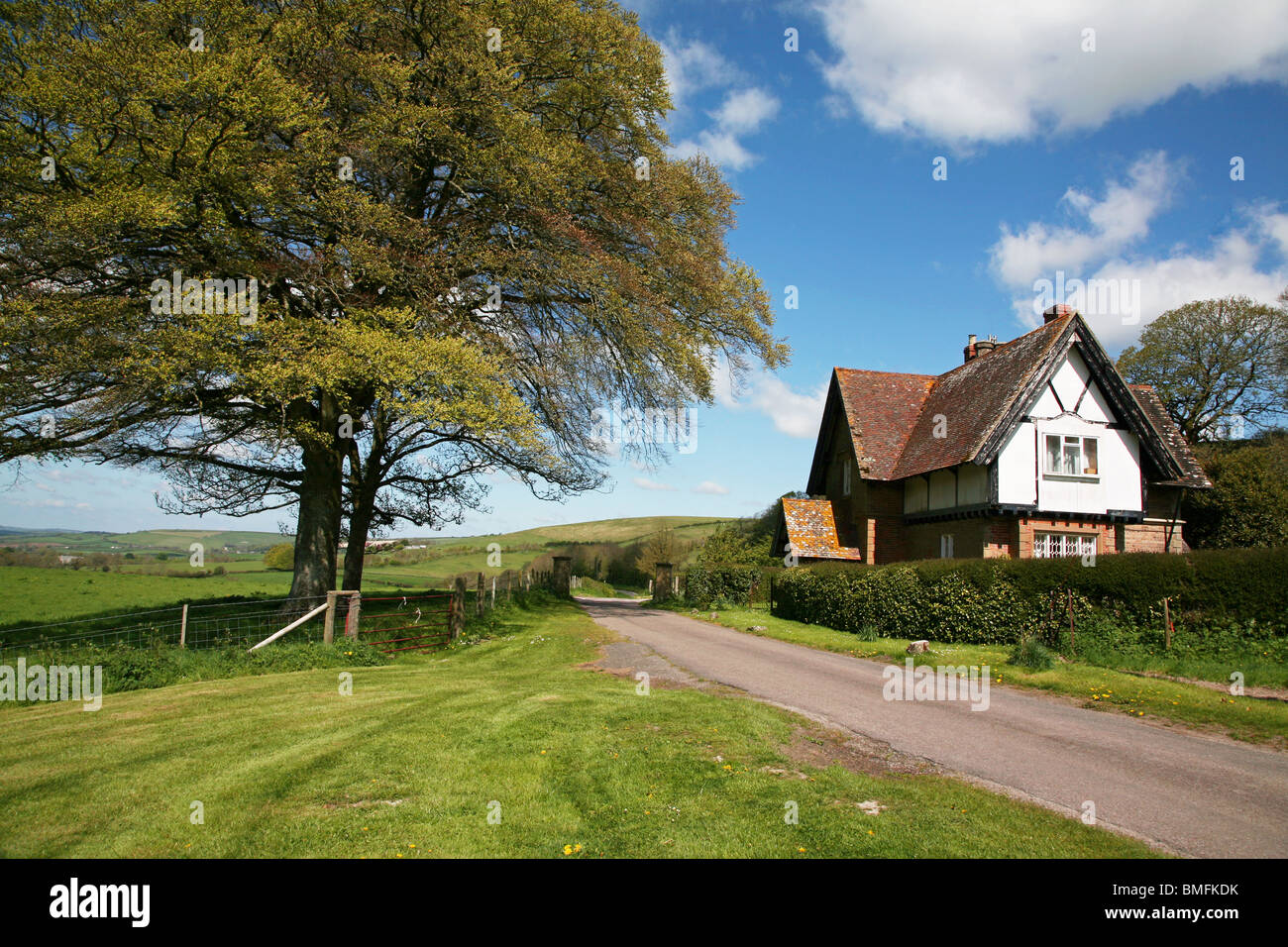 A fine tree in it's springtime colours on the edge of the tiny West ...