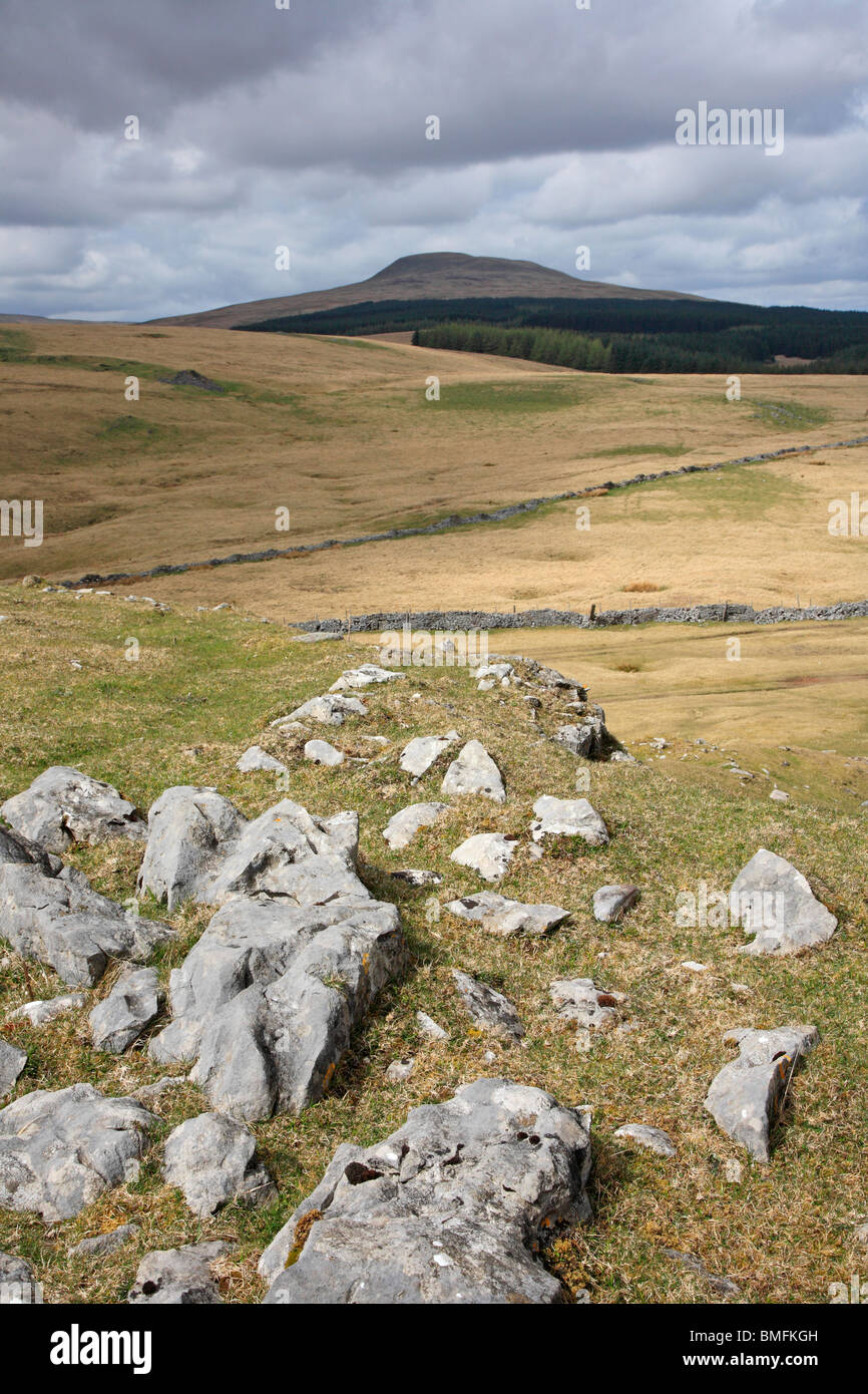 Fan Nedd, Brecon Beacons, Wales, UK Stock Photo - Alamy