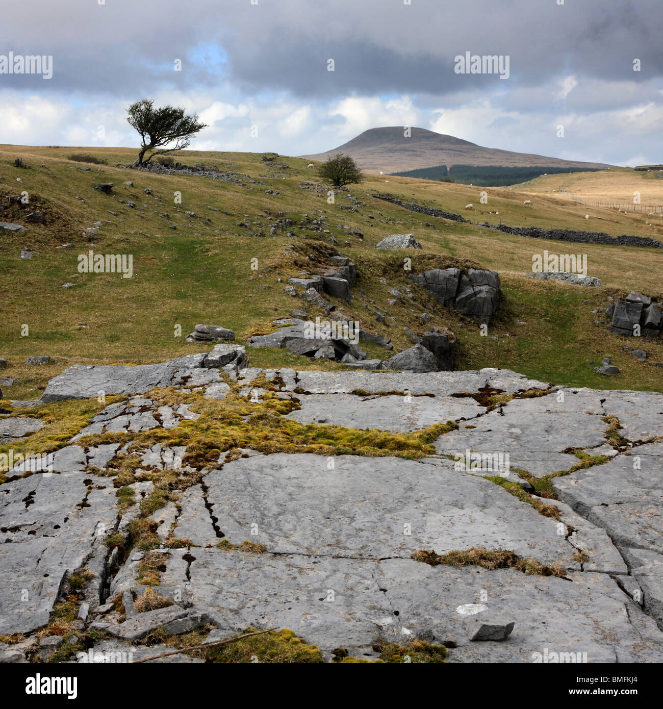 Fan Nedd, Brecon Beacons, Wales, UK Stock Photo - Alamy