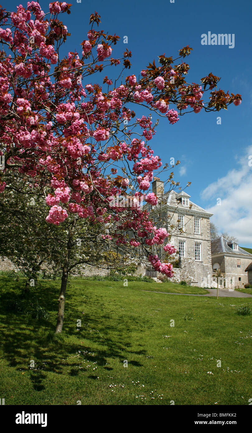Waddon house hi-res stock photography and images - Alamy