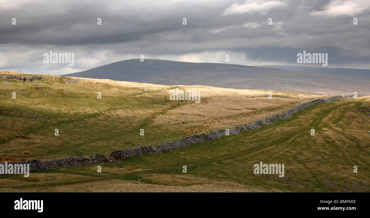 Fan llia hi-res stock photography and images - Alamy