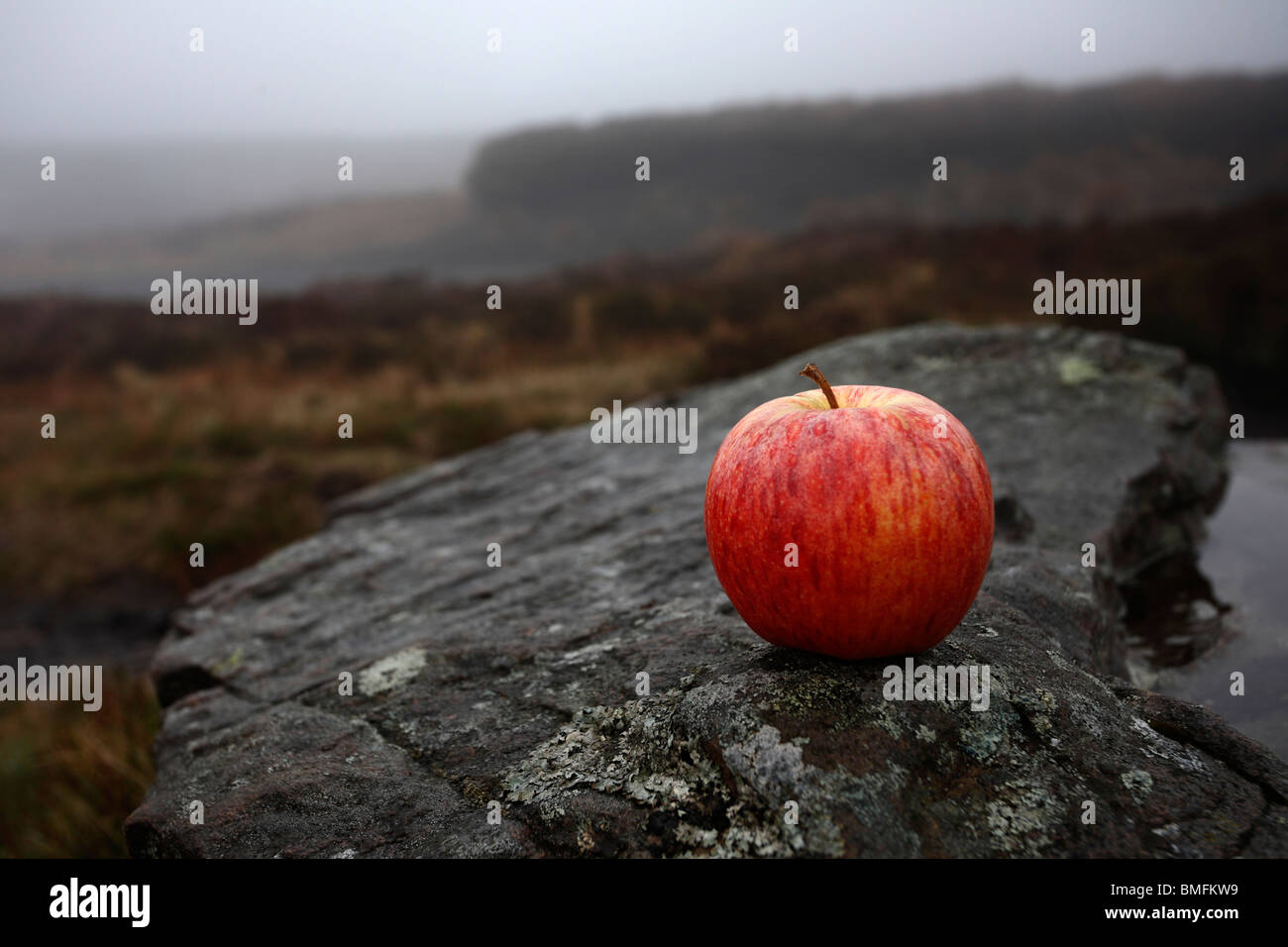 Alone temptation hi-res stock photography and images - Alamy