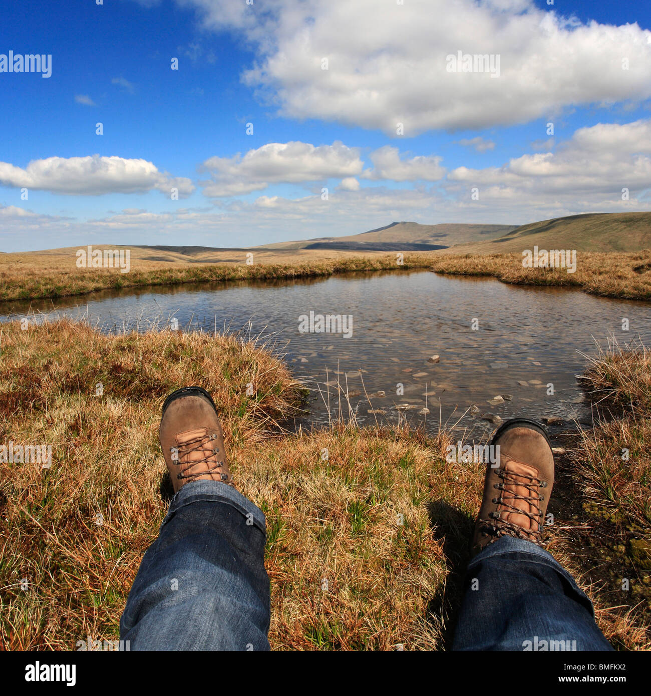 Fan llia hi-res stock photography and images - Alamy