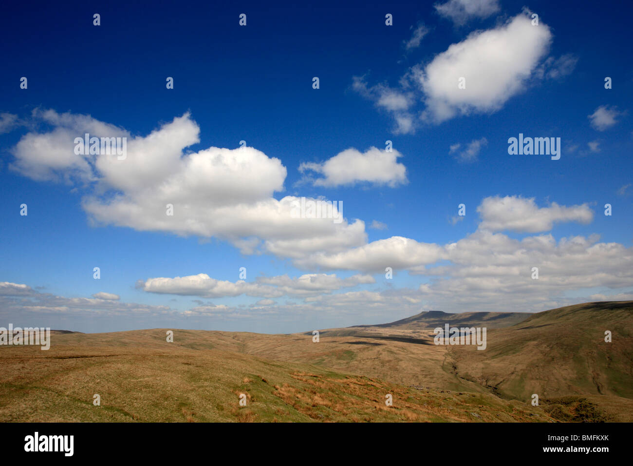 Fan Llia High Resolution Stock Photography and Images - Alamy