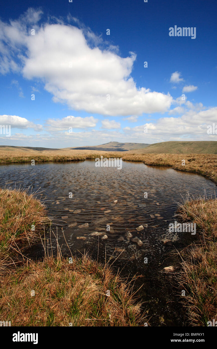 Fan llia hi-res stock photography and images - Alamy