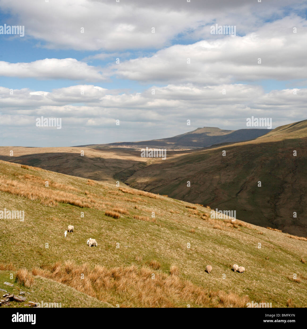 Pen y Fan & Corn Du from Fan Llia, Brecon Beacons, Wales, UK Stock ...